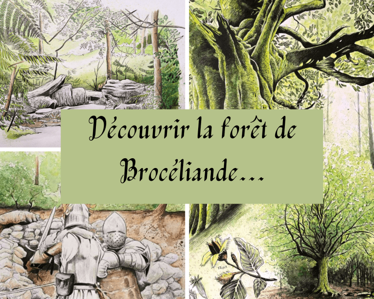 Que faire à Brocéliande : nos conseils pour découvrir la forêt - Voyage ...